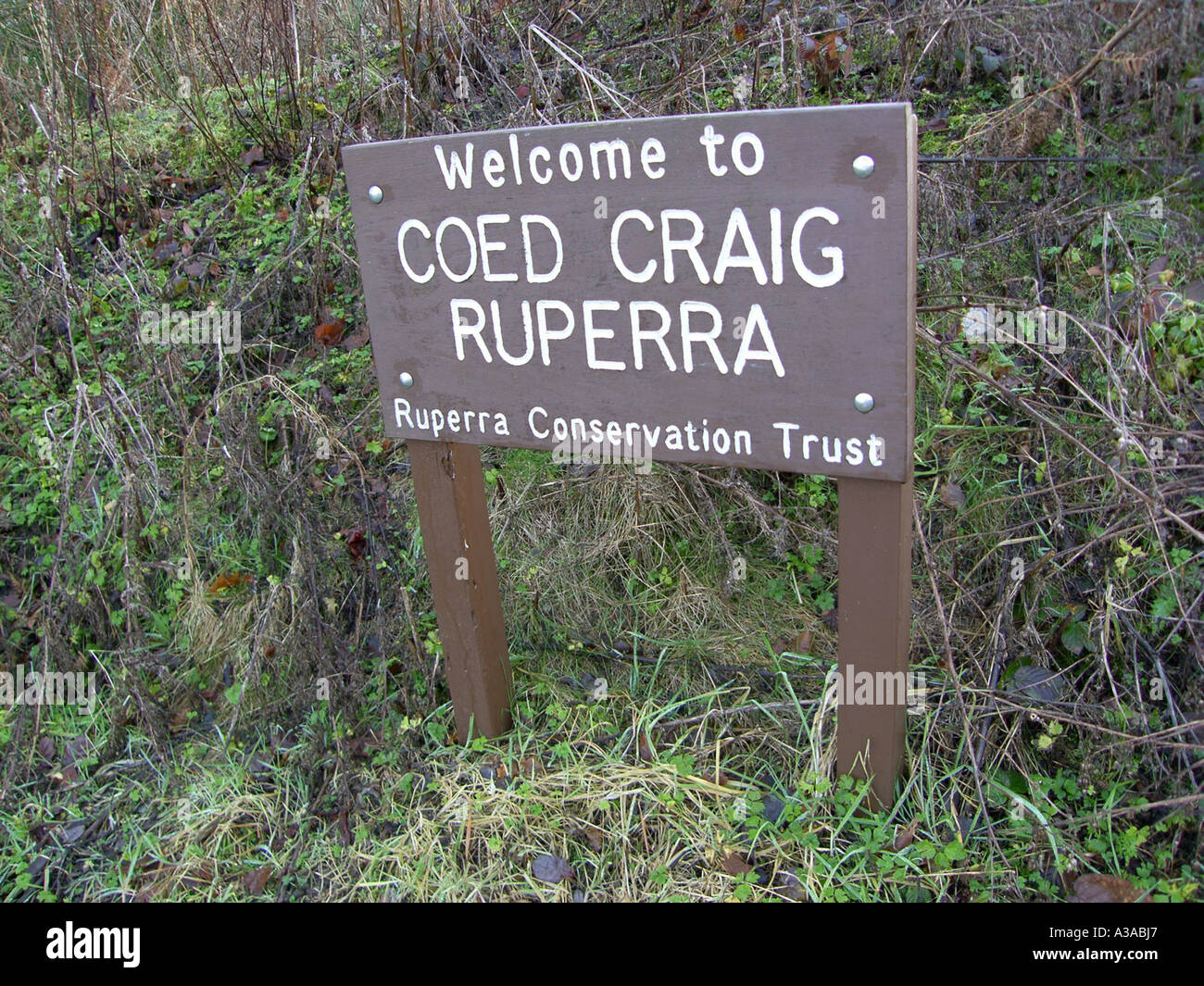 Draethen hi-res stock photography and images - Alamy