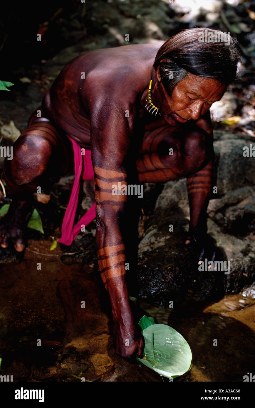 Embera Hunter Native Indigenous People of the Darien jungle Panama ...