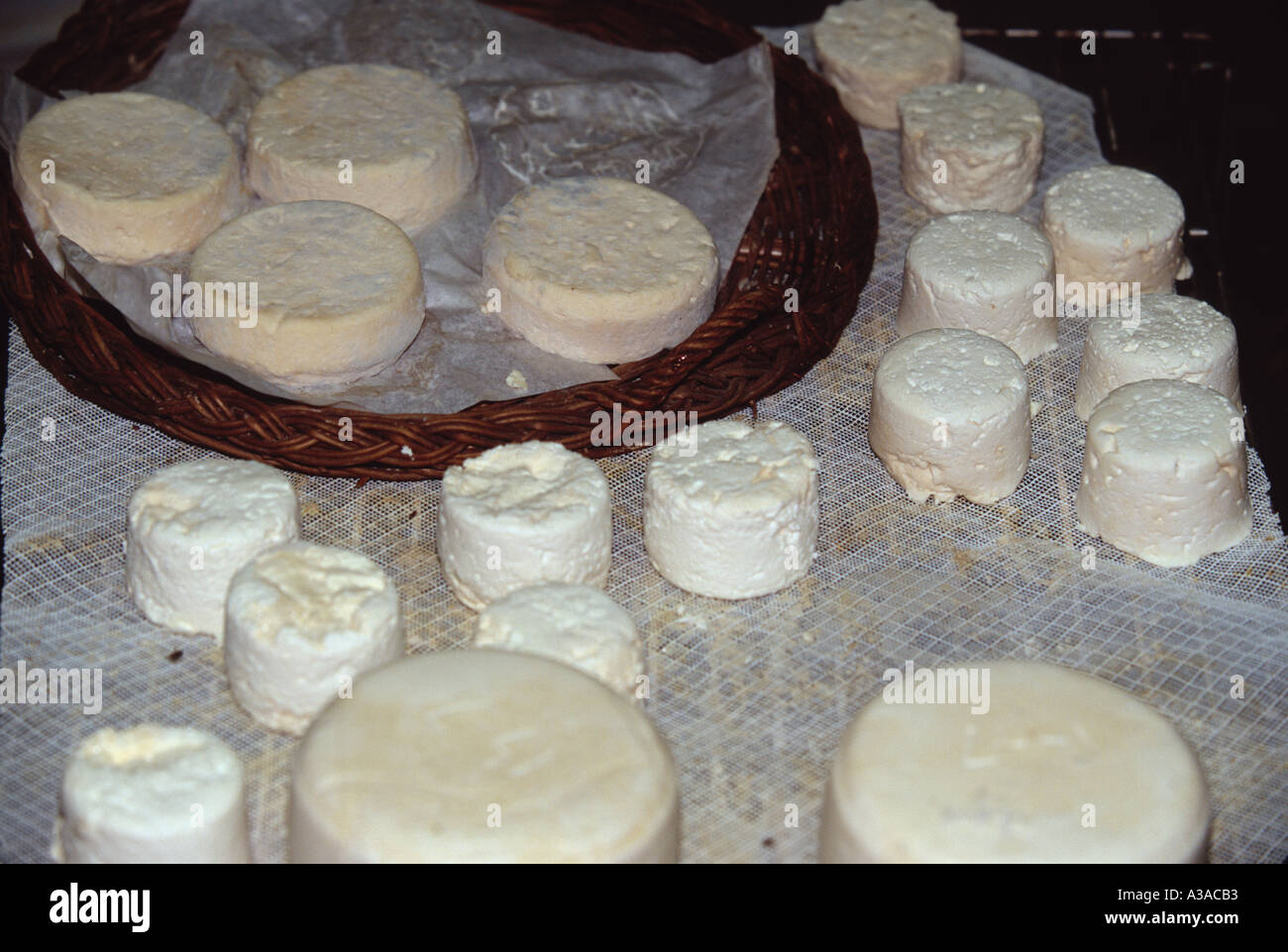 Various cheese from the Pyrenees brebis and goats Vallee d Aspe Stock ...