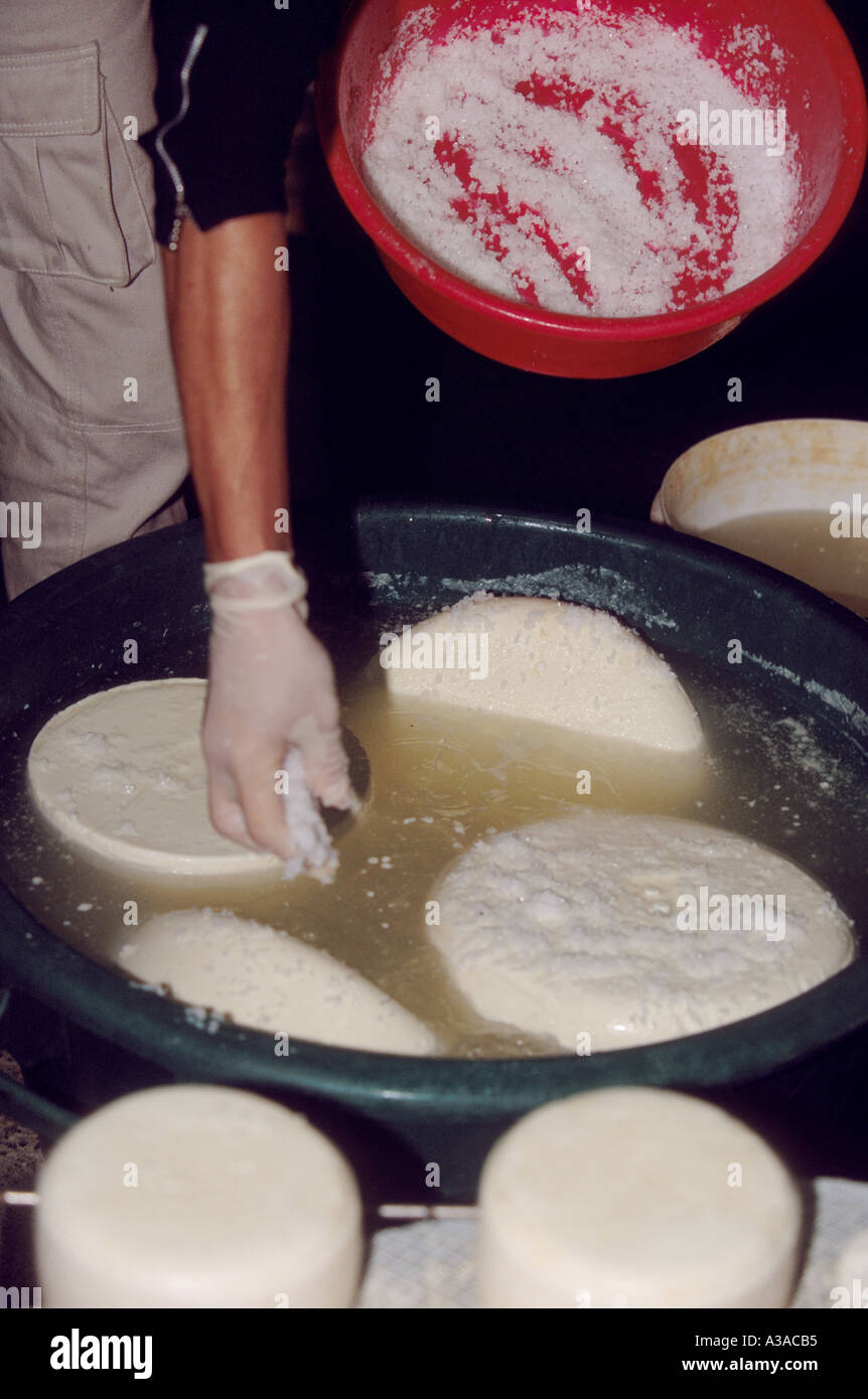 Fromage de Brebis is the most famous variety of cheese from the ...