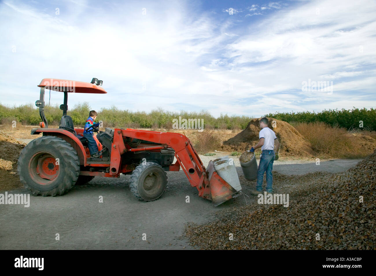 Father and son loading feed on to tractor, dairy goat farm Stock Photo ...