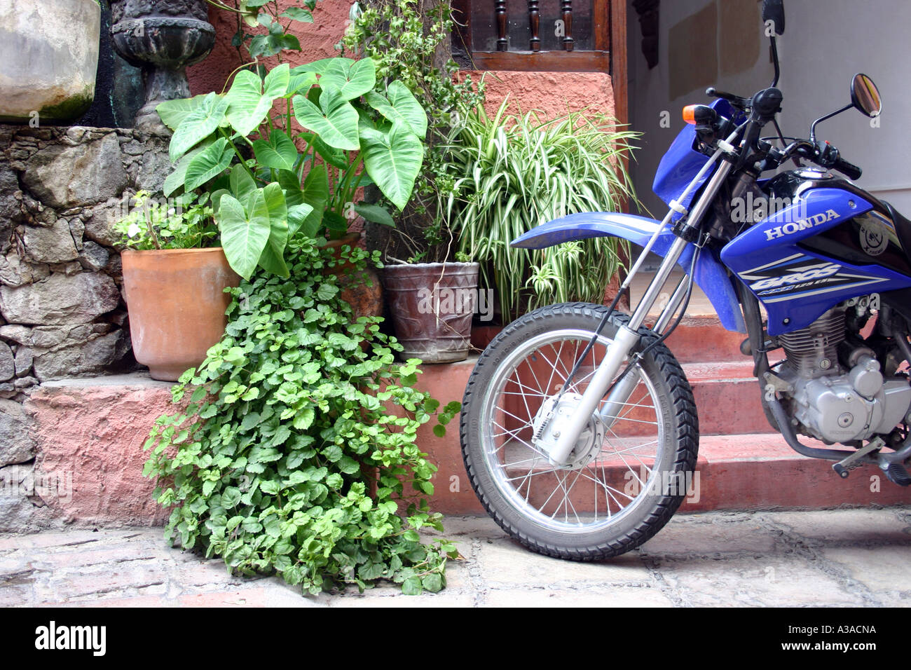 Mexico, Guanajuato, Motorcycle and potted plants in courtyard Stock ...