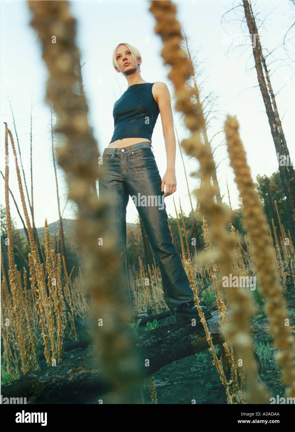 Pose posing posed model models hi-res stock photography and images - Alamy