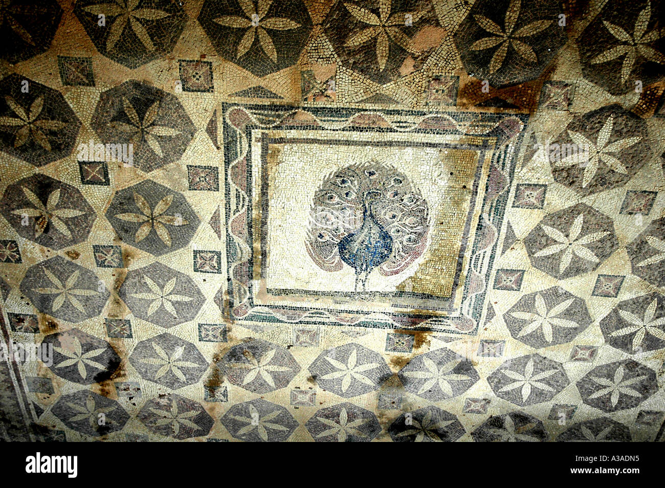 Papos cyprus hi-res stock photography and images - Alamy