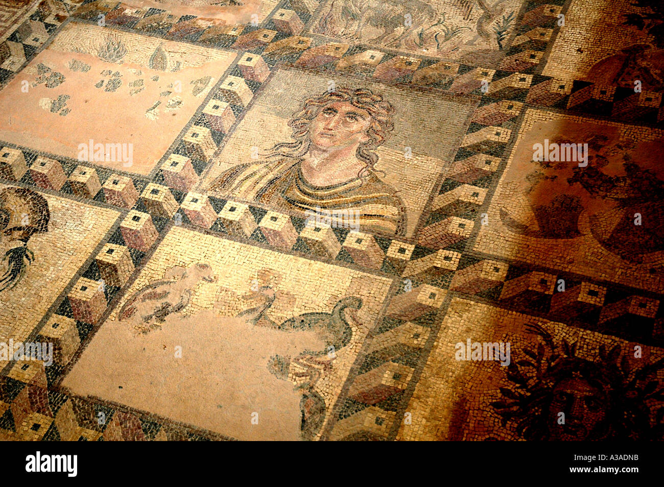 Papos hi-res stock photography and images - Alamy