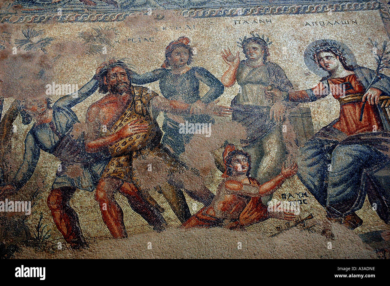 Papos hi-res stock photography and images - Alamy