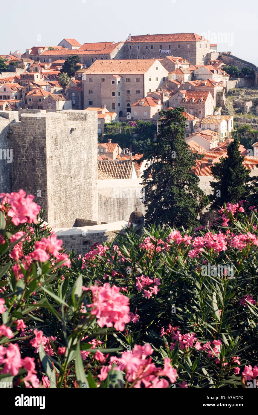 The Balkans Croatia Dubrovnik Unesco World Heritage Old Town Red Roof ...