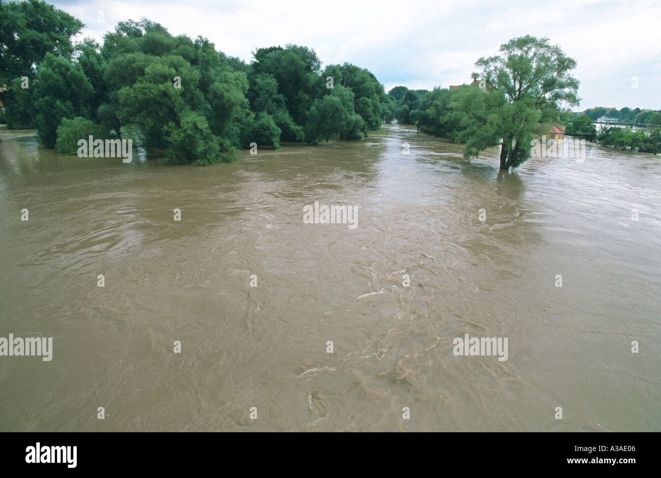 inundation the flood in Regensburg Stock Photo - Alamy