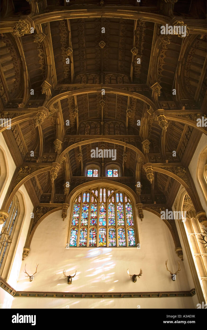 Great hall hampton court palace hi-res stock photography and images - Alamy