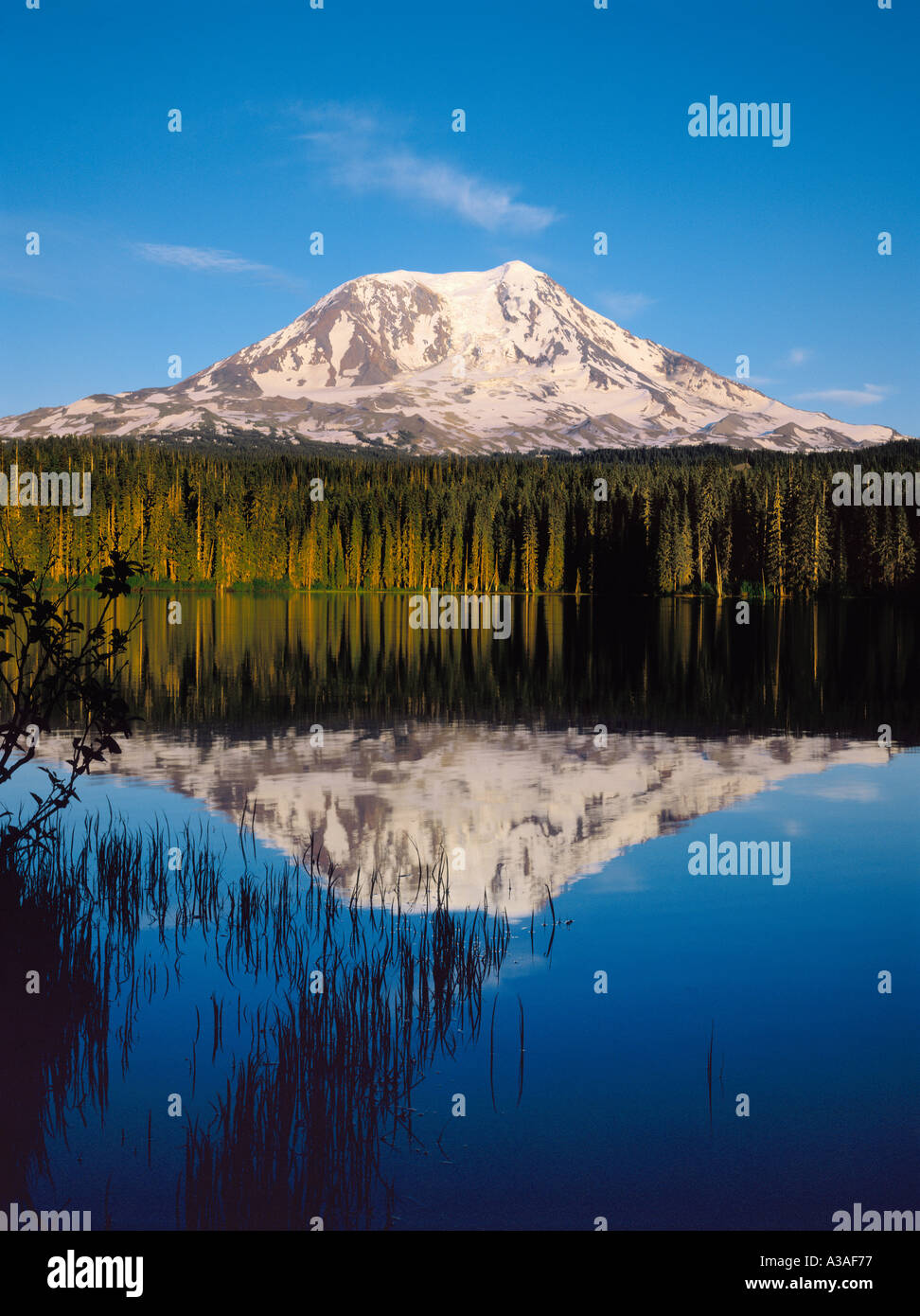 Mt Adams, Washington State, USA, 12276 ft 3742 m, Pacific NW, South ...