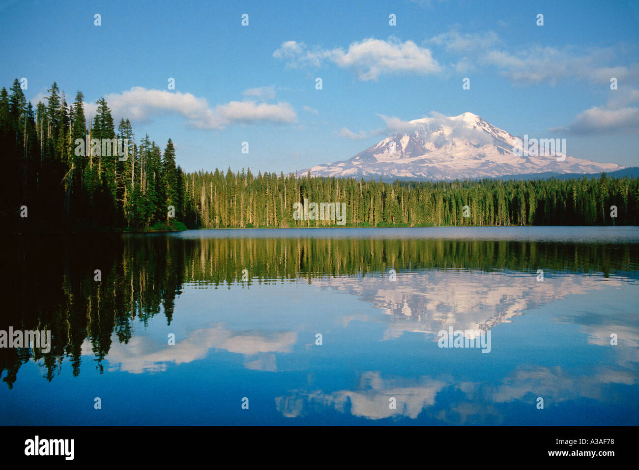 Mt Adams, Washington State, USA, 12276 ft 3742 m, Pacific NW, South ...