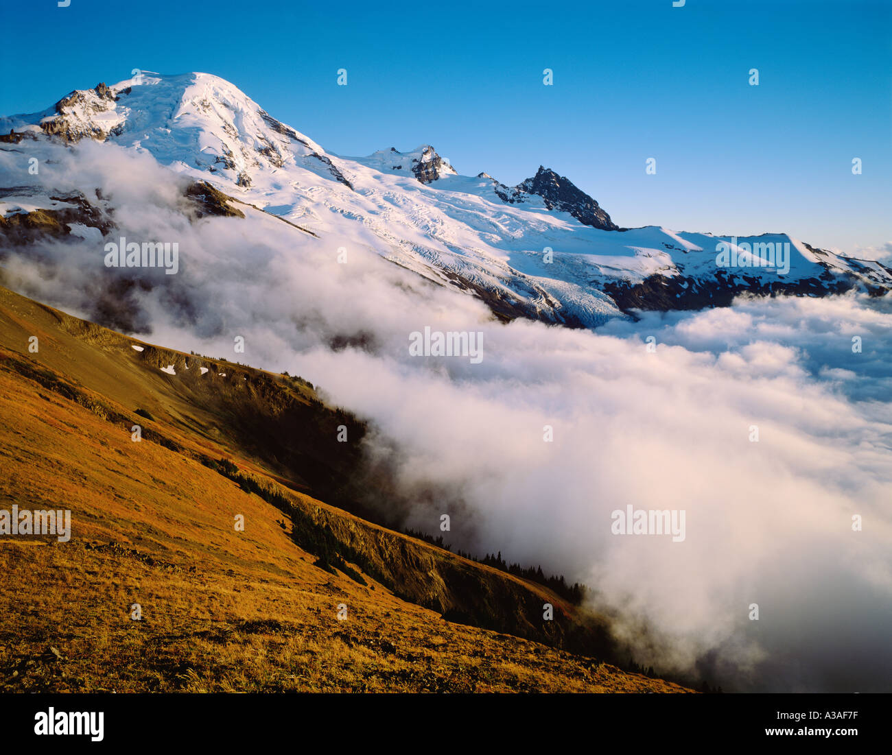 Mt Baker Washington State USA 10778 ft 3285 m Pacific Northwest North ...