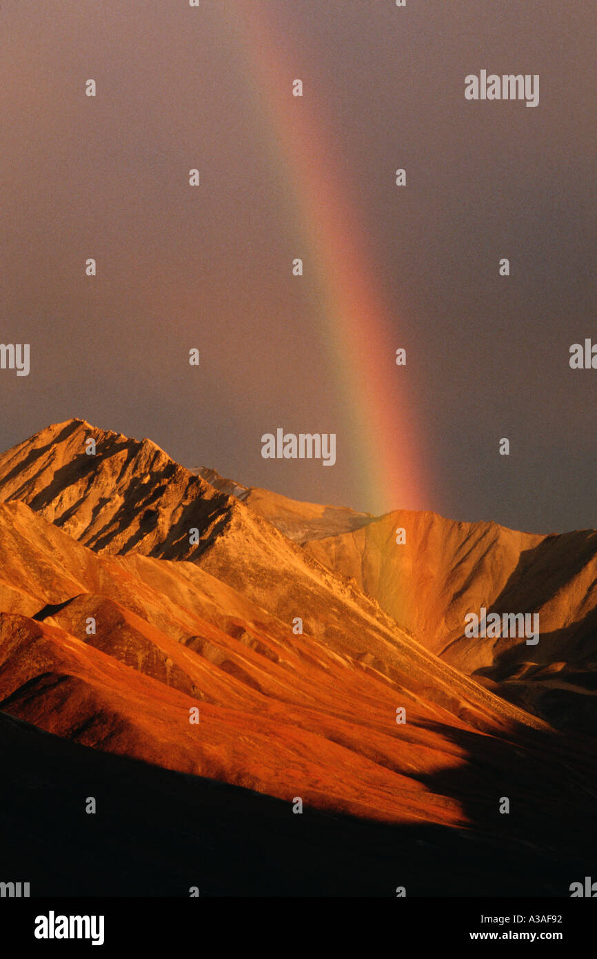 Denali National Park, Alaska, USA, Pirate Creek, rainbow, Sunset during ...