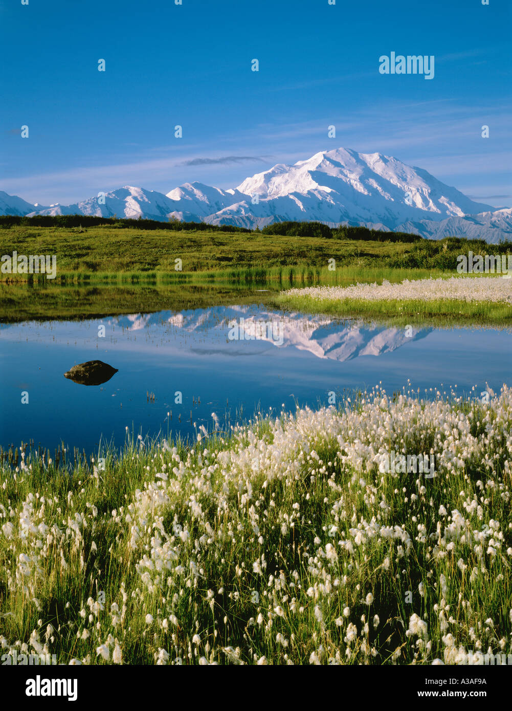 Denali, Denali National Park, Alaska, USA, Mt McKinley and the Alaska ...
