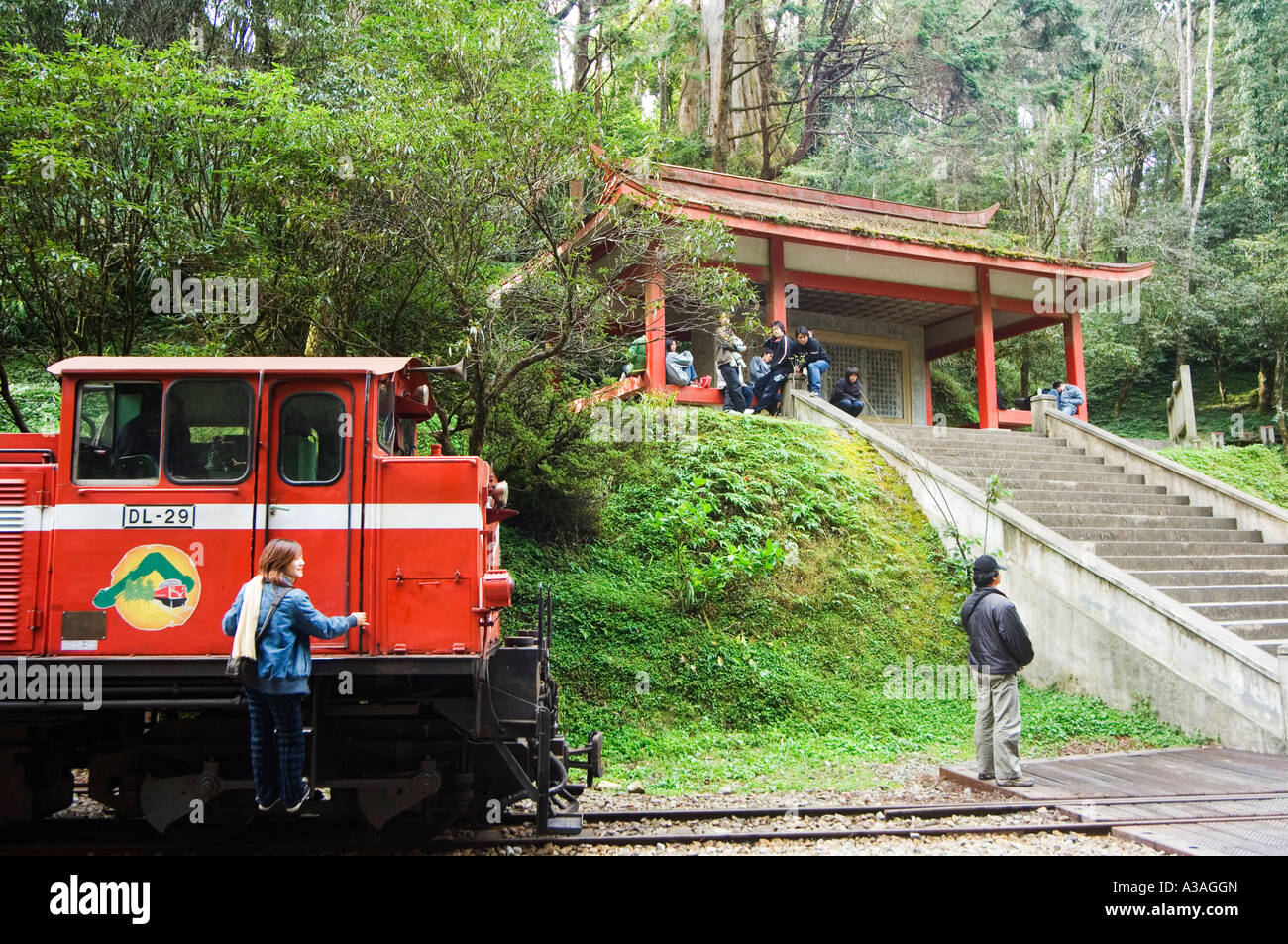 steam train engine cedar forest Alishan National Forest recreation area ...