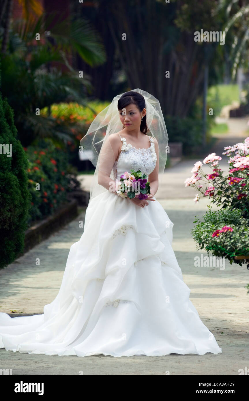 bride in park Taipei city Taiwan China Stock Photo - Alamy