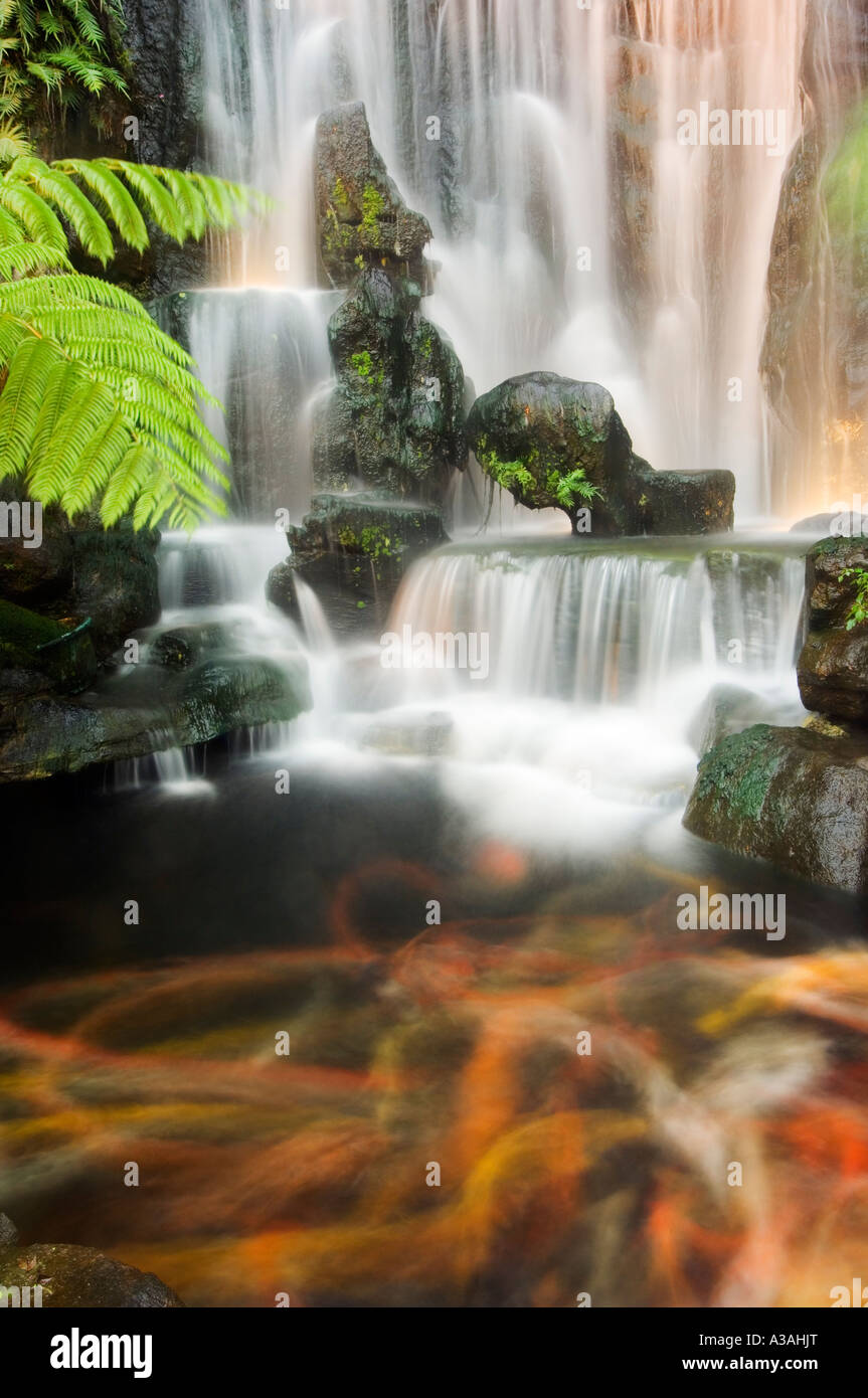 Gold Fish Swimming in Waterfall Pool Longshan Temple Taipei city Taiwan ...