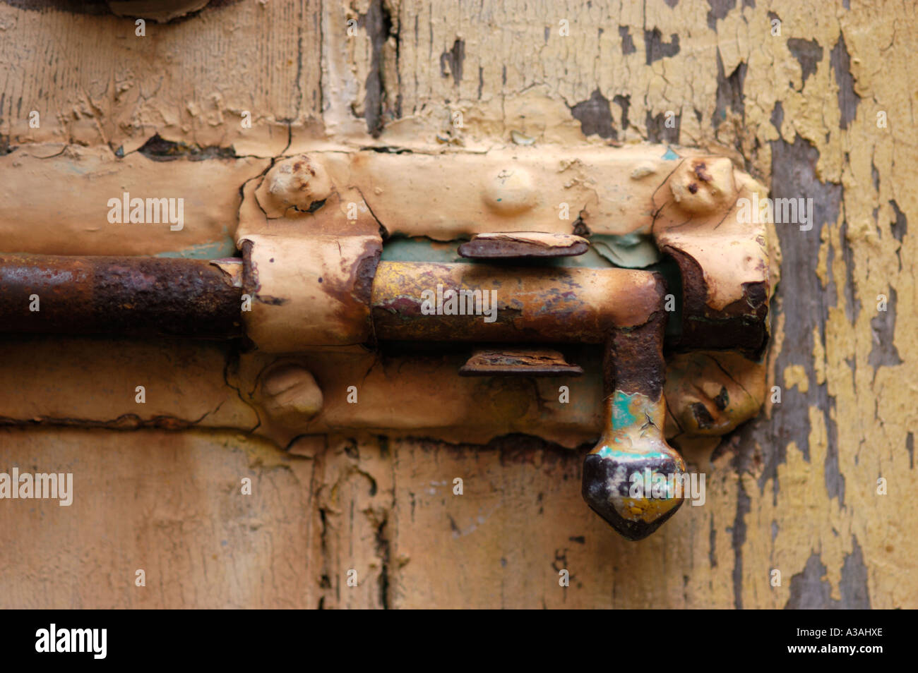 Close up of a an old shed door with slide bolt type lock flaking paint ...