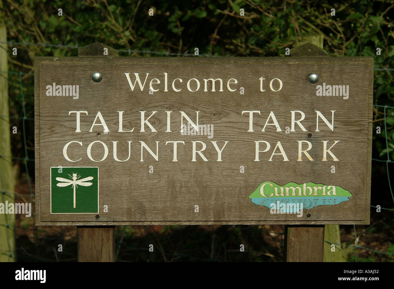 Talkin Tarn Country Park near Brampton Cumbria England Stock Photo - Alamy