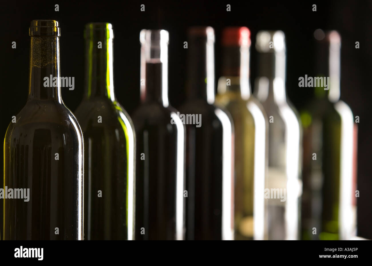 Row of wine bottles Stock Photo - Alamy
