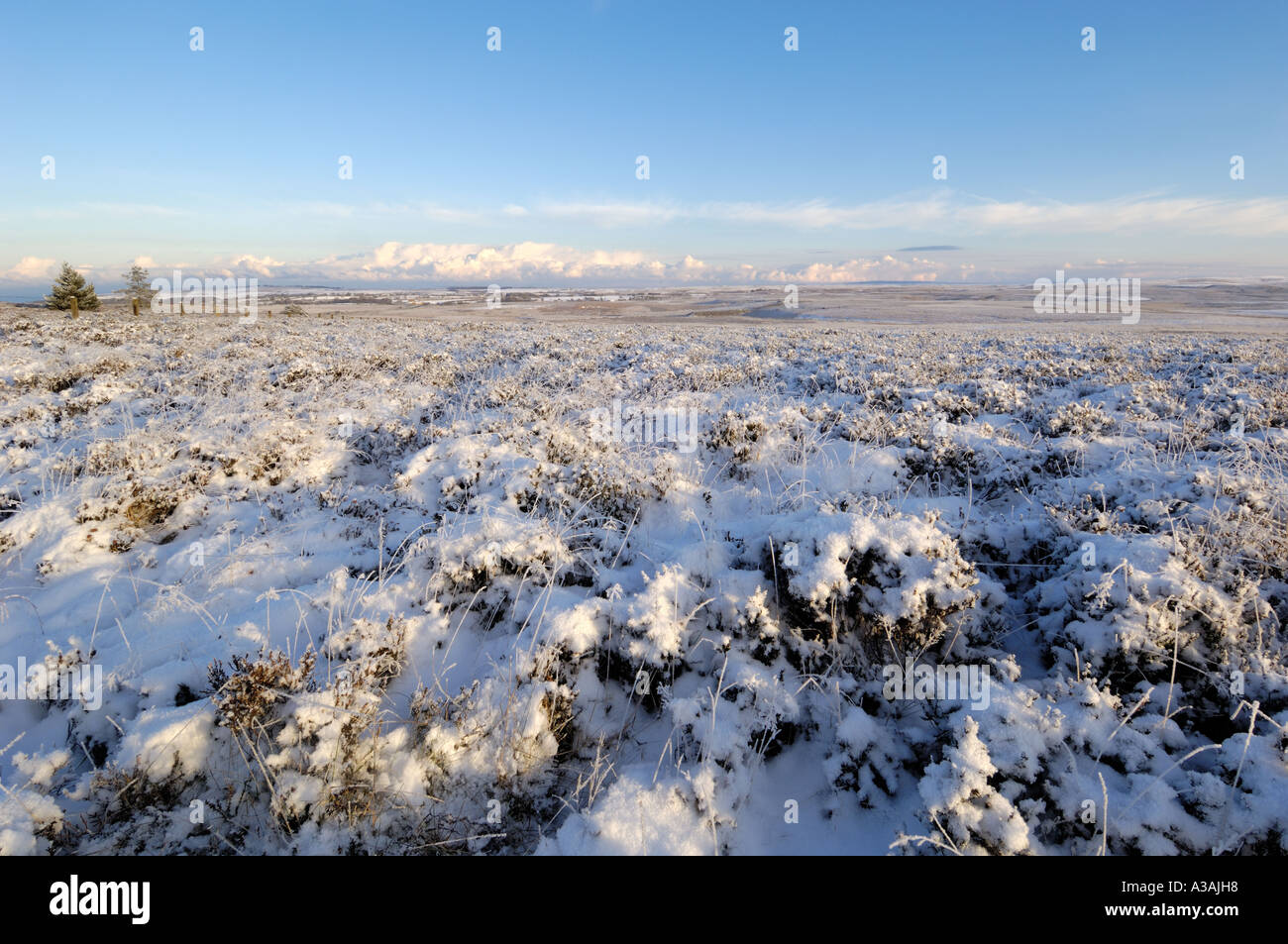 Parque nacional york moors hi-res stock photography and images - Alamy