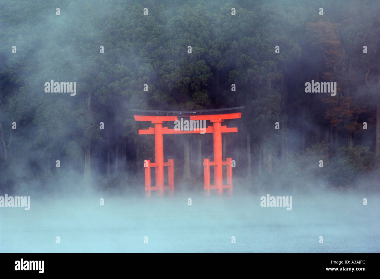 red torri gate in the mist lake Ashi Ashiko Hakone Kanagawa prefecture ...