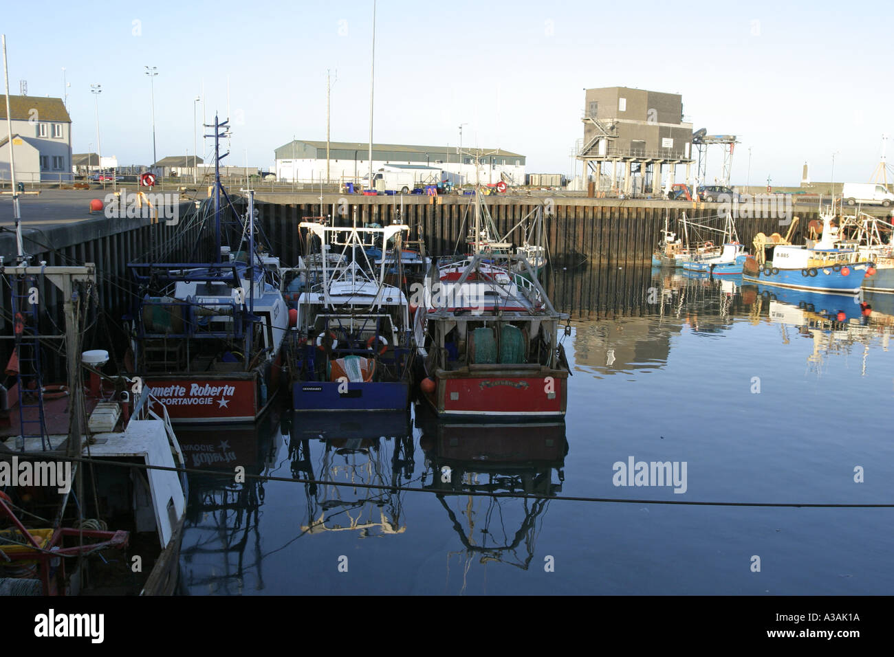 fishing boats in portavogie harbour at sunset county down northern ...