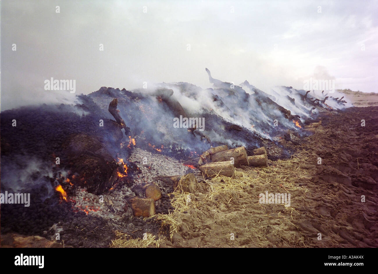 Fmd uk 2001 hi-res stock photography and images - Alamy