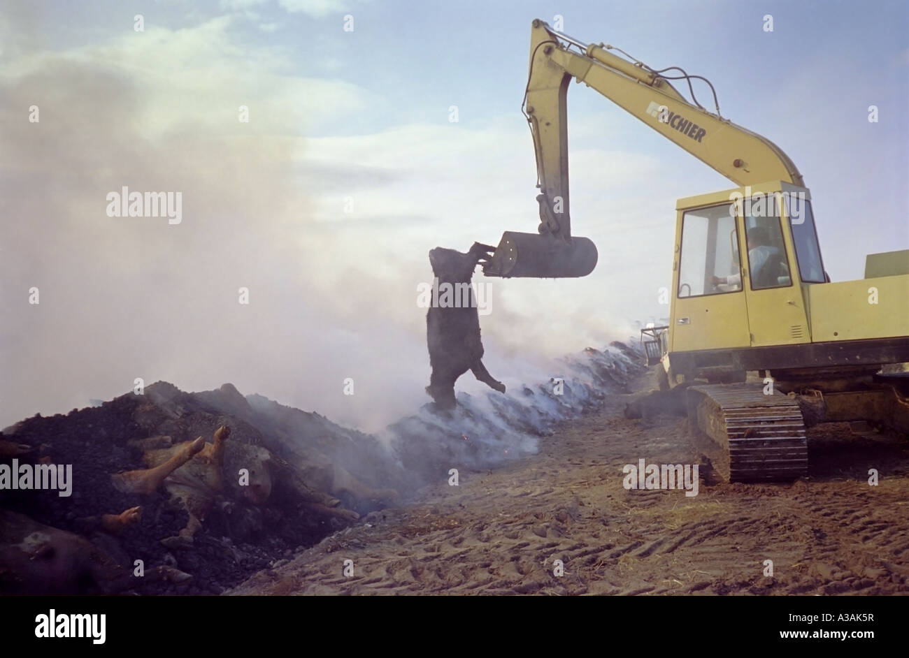 Fmd uk 2001 hi-res stock photography and images - Alamy