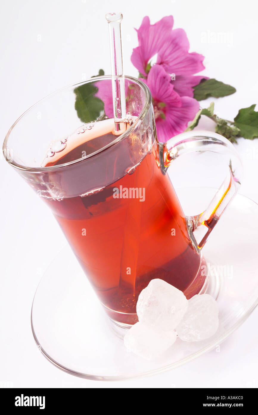 Mallow tea, close-up Stock Photo - Alamy