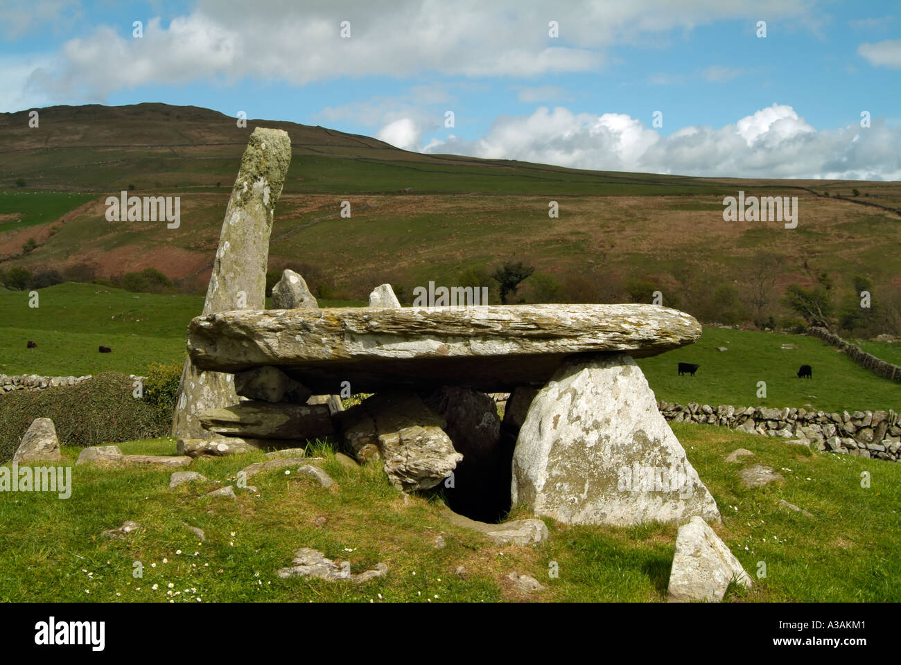 Cairn Holy ancient chambered cairns near Carsluith Newton Stewart ...