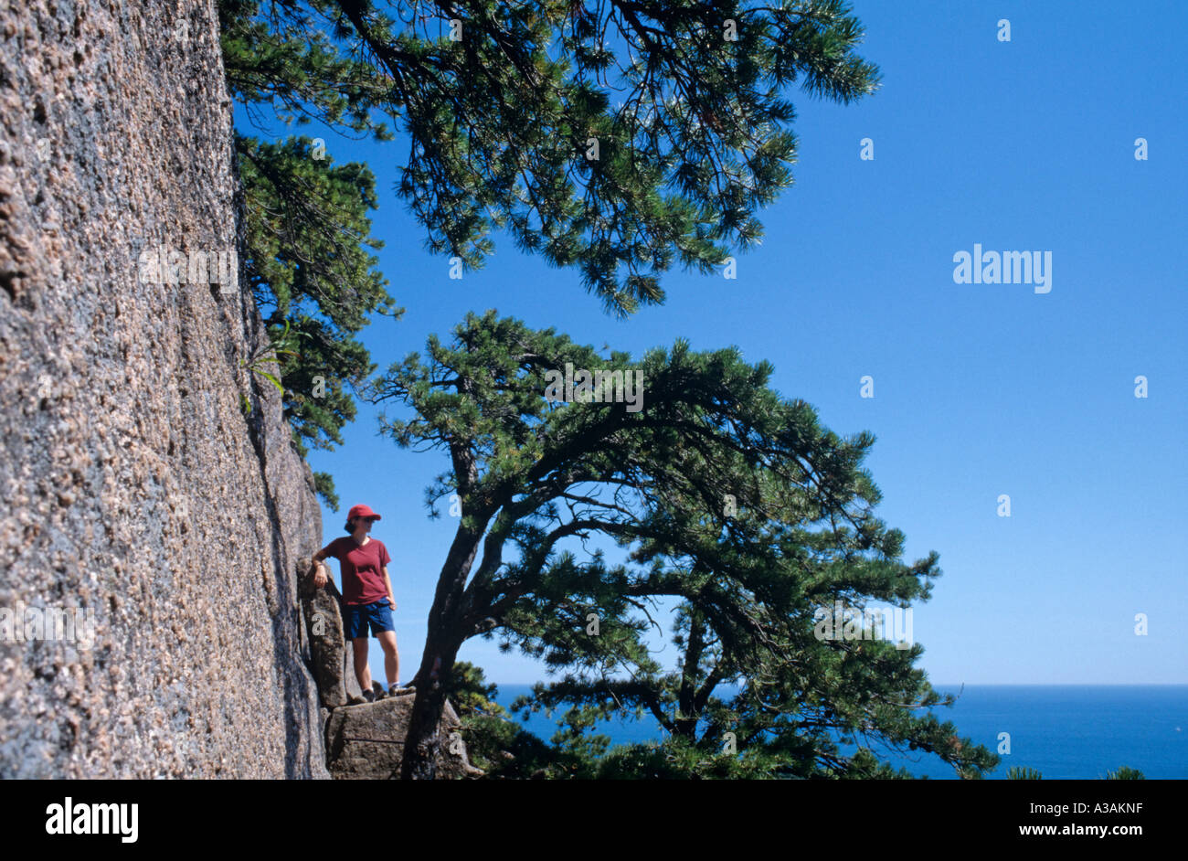 Teenage girl hiking in Acadia National Park Stock Photo - Alamy