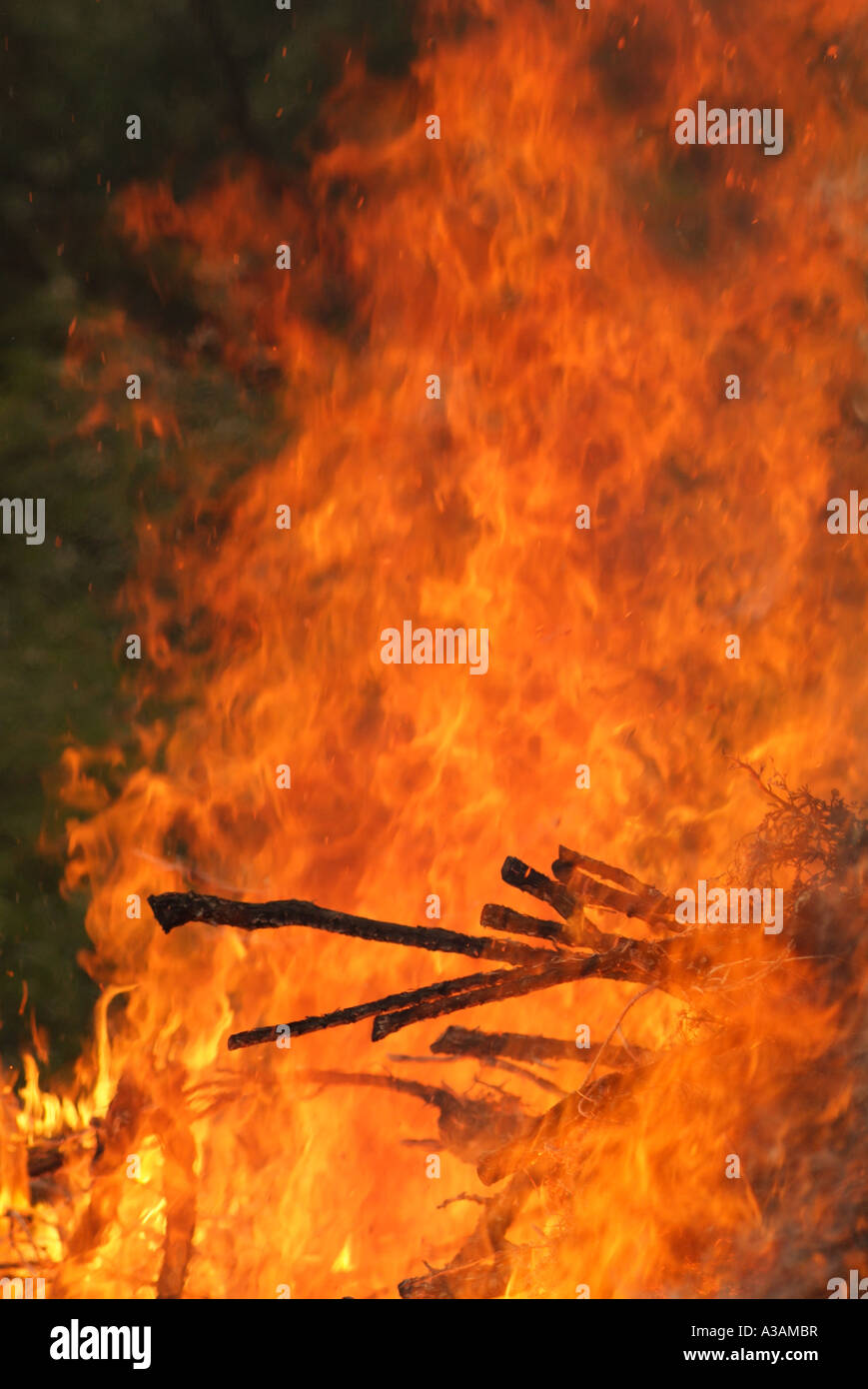 Fire and flames with heat from a bushfire Stock Photo - Alamy