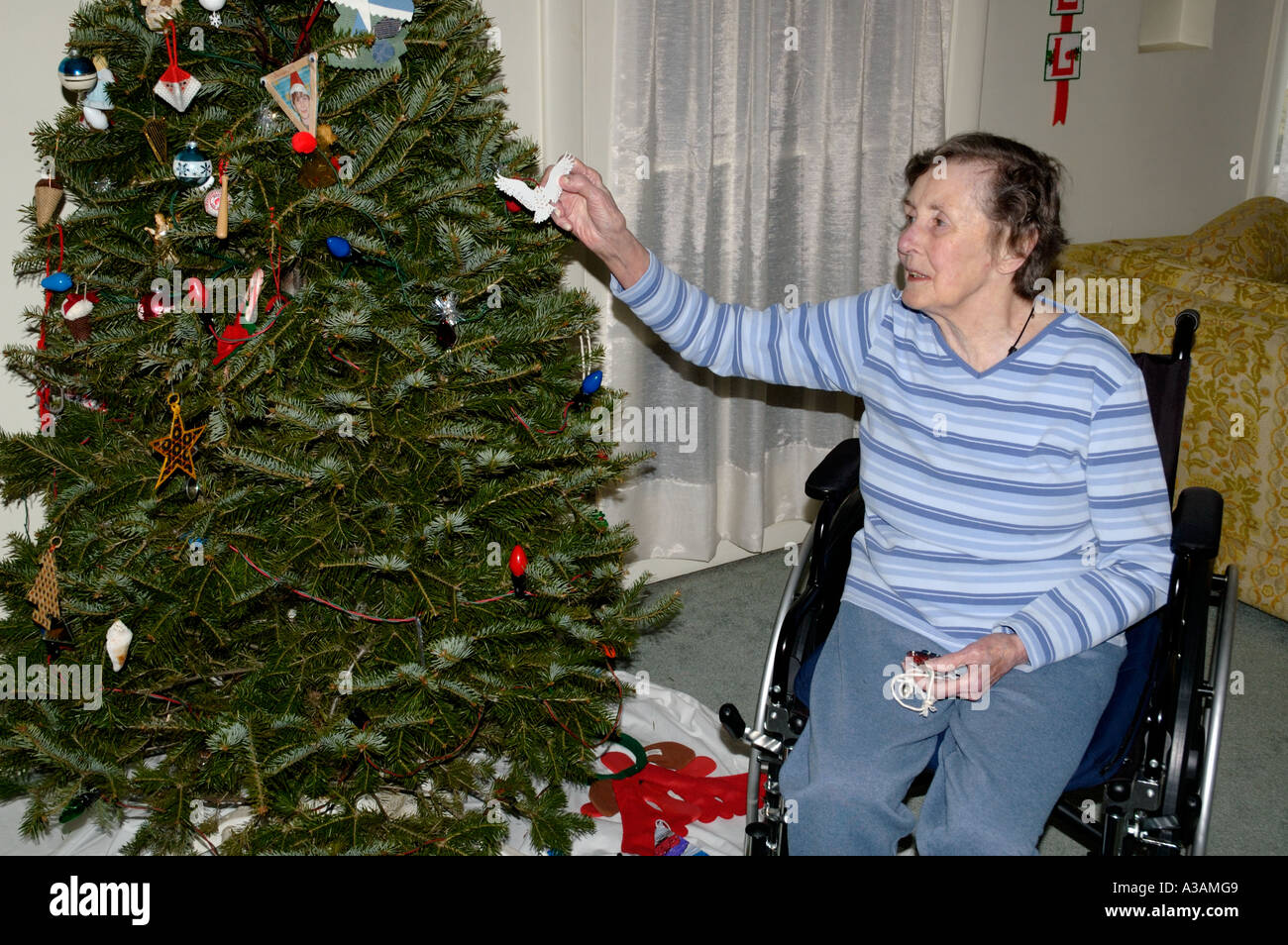 Elderly woman in wheelchair decorating a christmas tree Stock Photo - Alamy