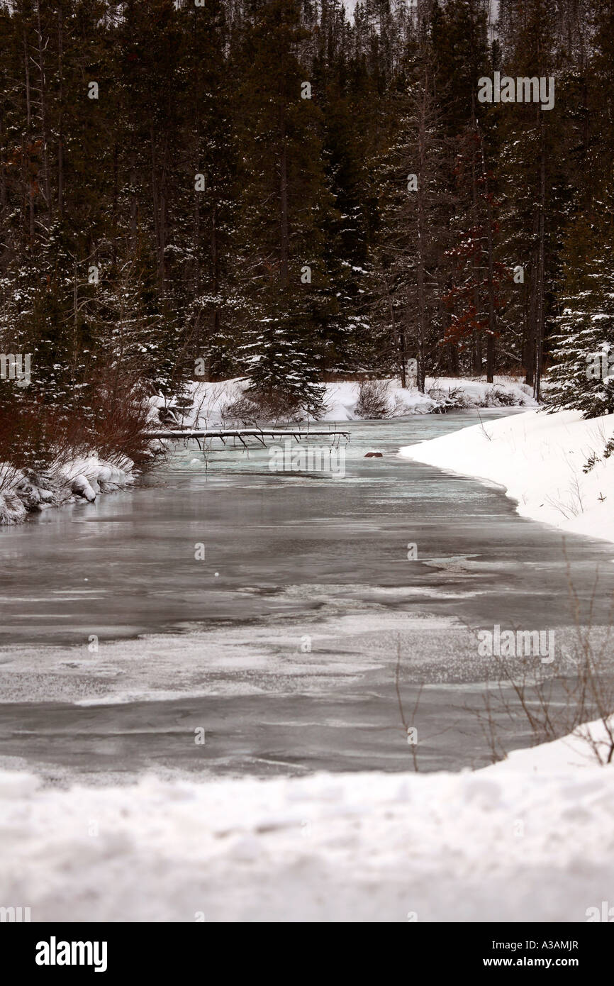 Cameron River in winter Stock Photo - Alamy