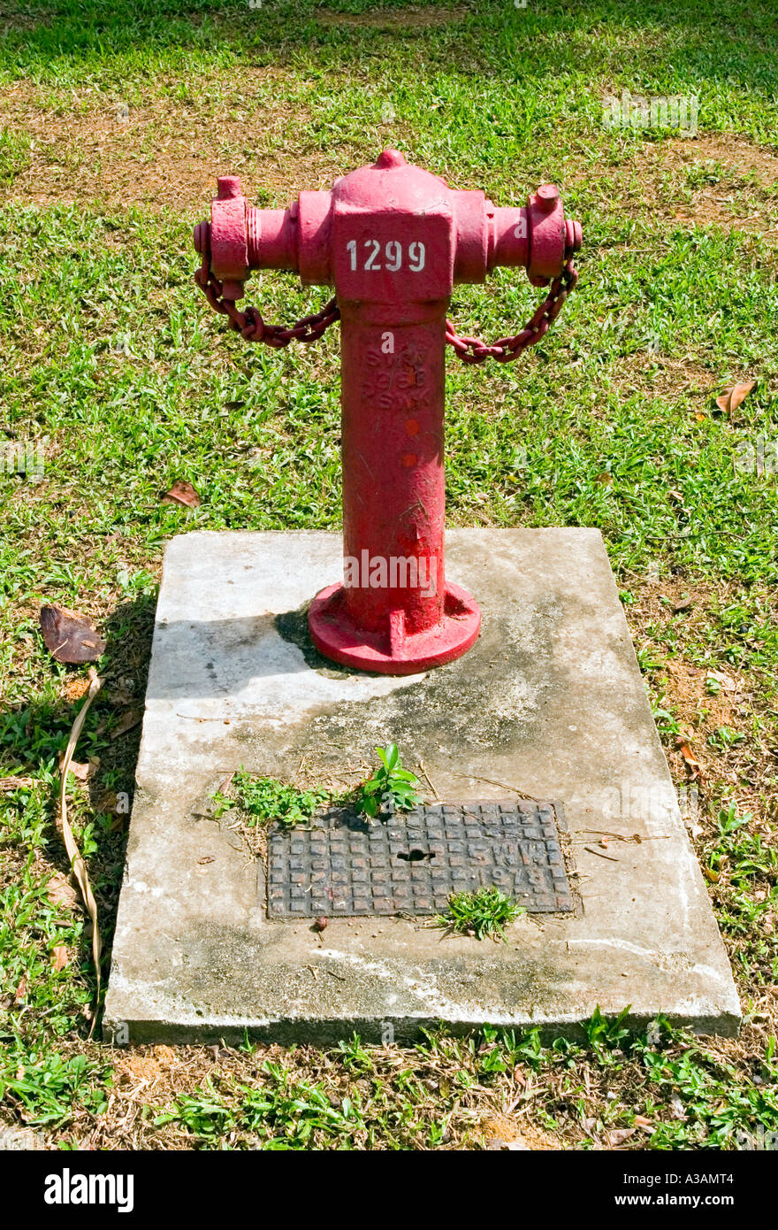 Red 'T' shaped Fire Hydrant on cement platform, surrounded by grass ...