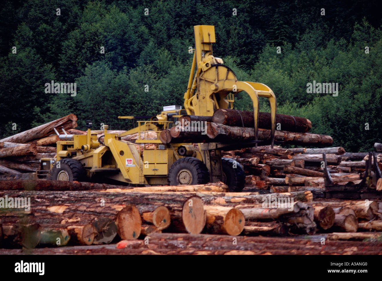 A Log Loader sorting Logs near Port Renfrew on Vancouver Island British ...