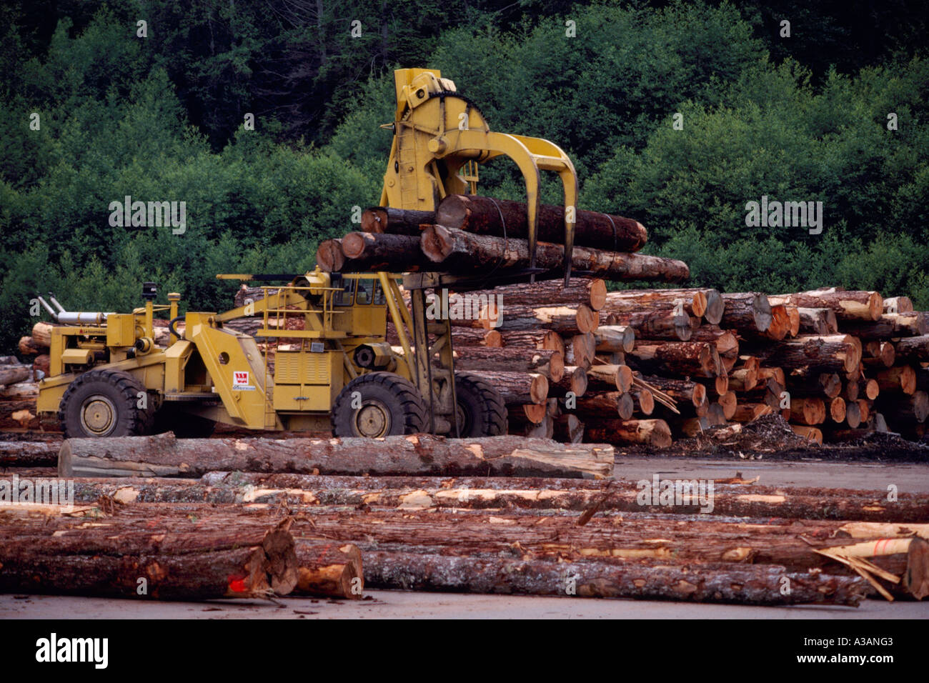 A Log Loader sorting Logs near Port Renfrew on Vancouver Island in ...