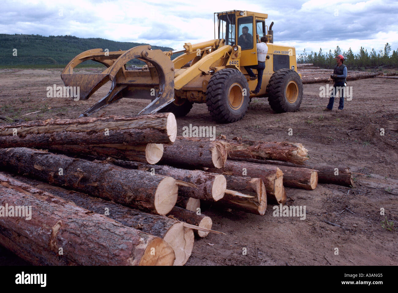 A Front-end Loader sorting Logs near Port Renfrew on Vancouver Island ...