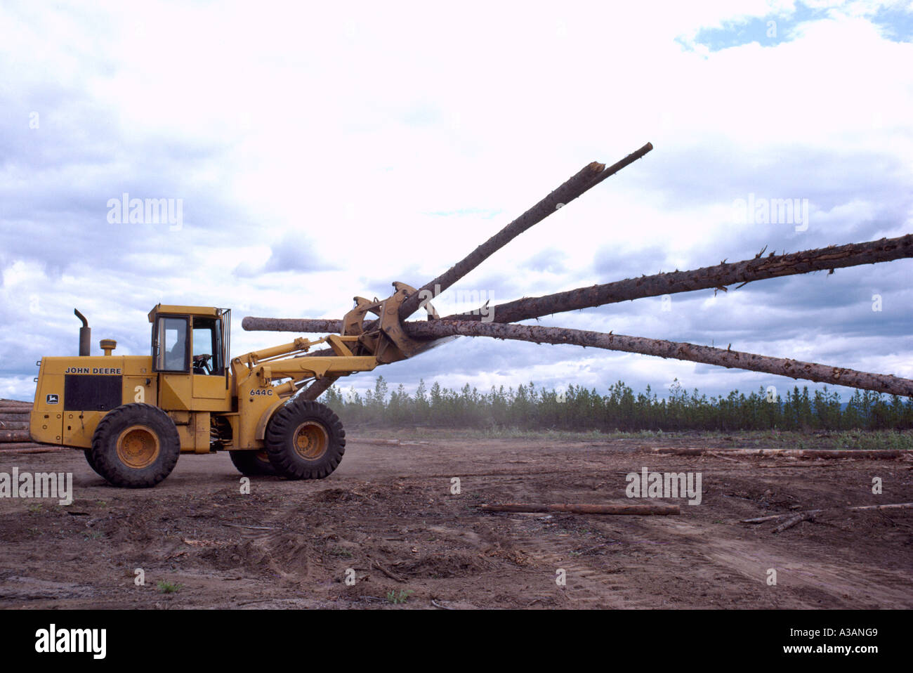 A Front-end Loader sorting Logs near Port Renfrew on Vancouver Island ...