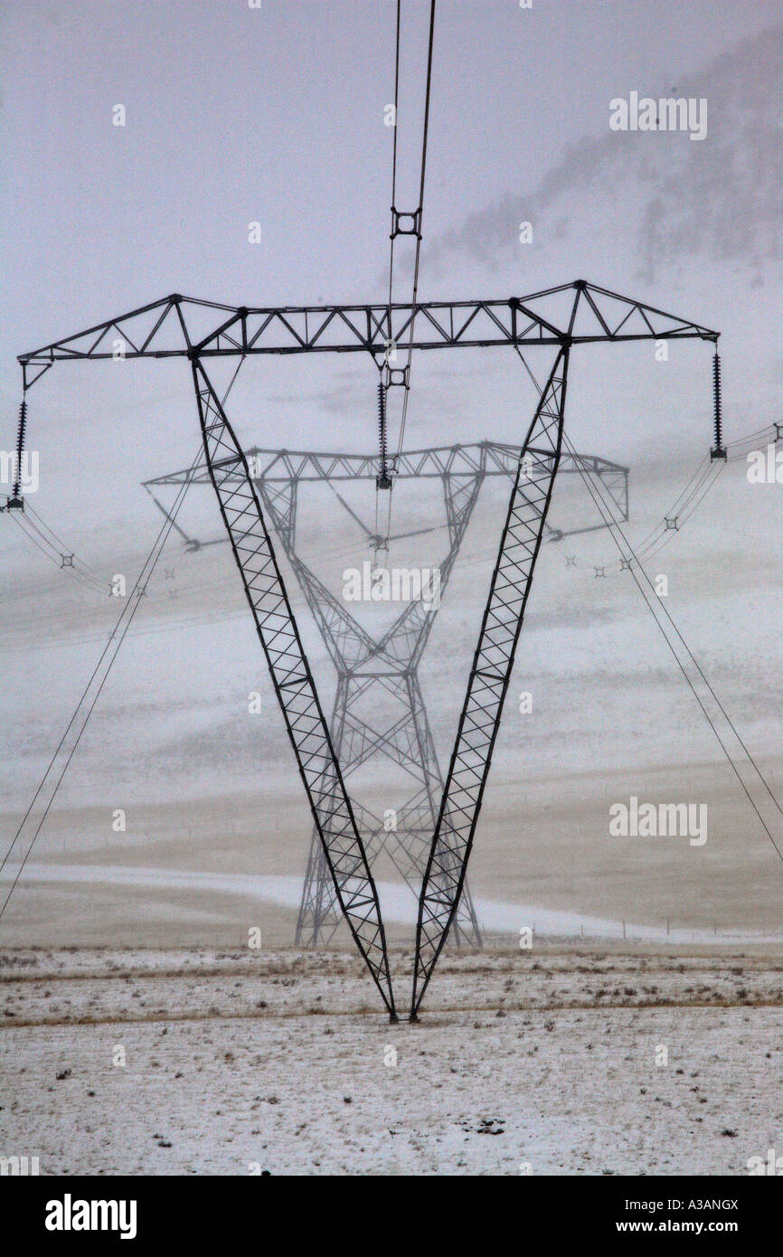 Alberta power lines in winter snowstorm Stock Photo - Alamy