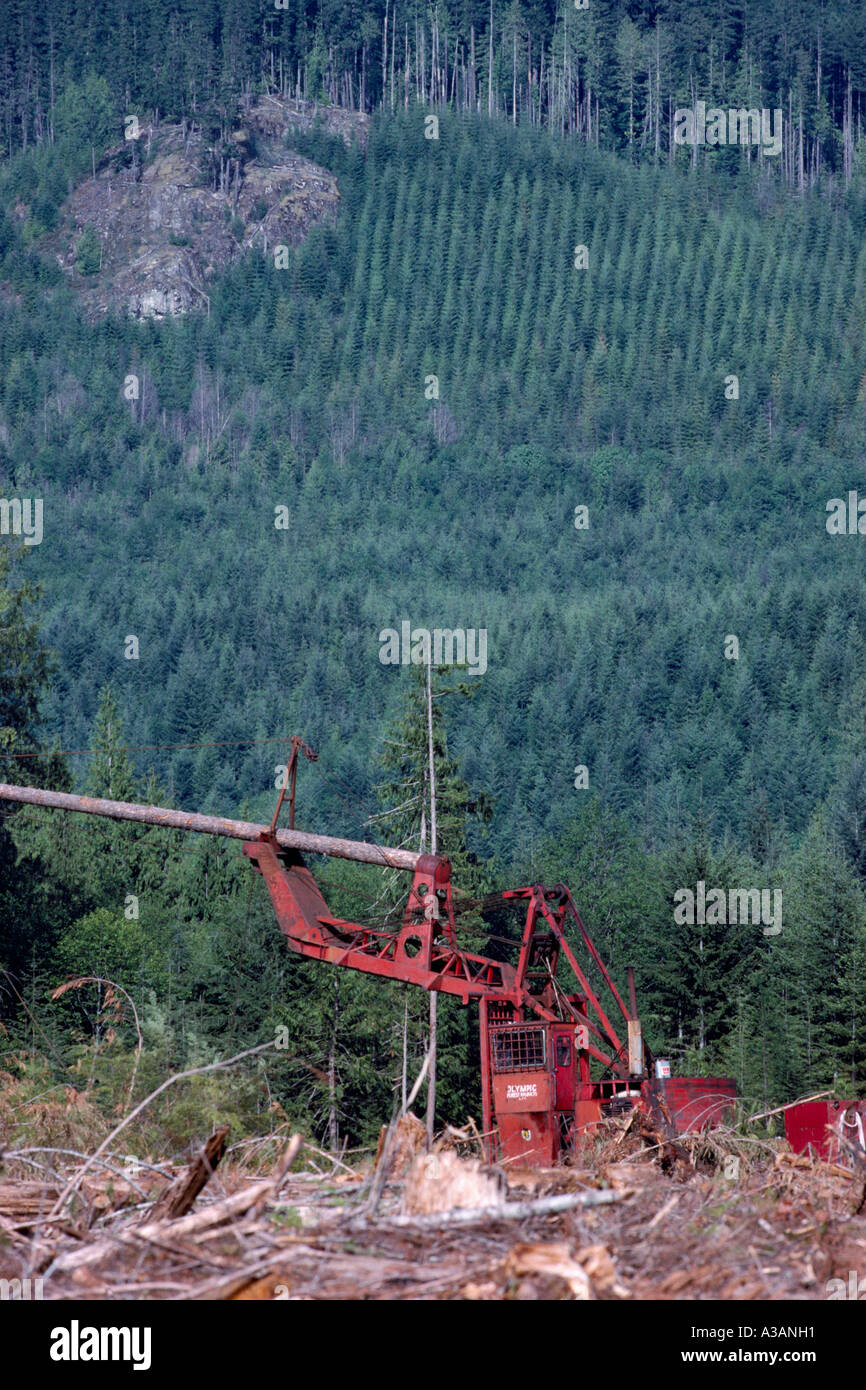 Feller buncher hi-res stock photography and images - Alamy