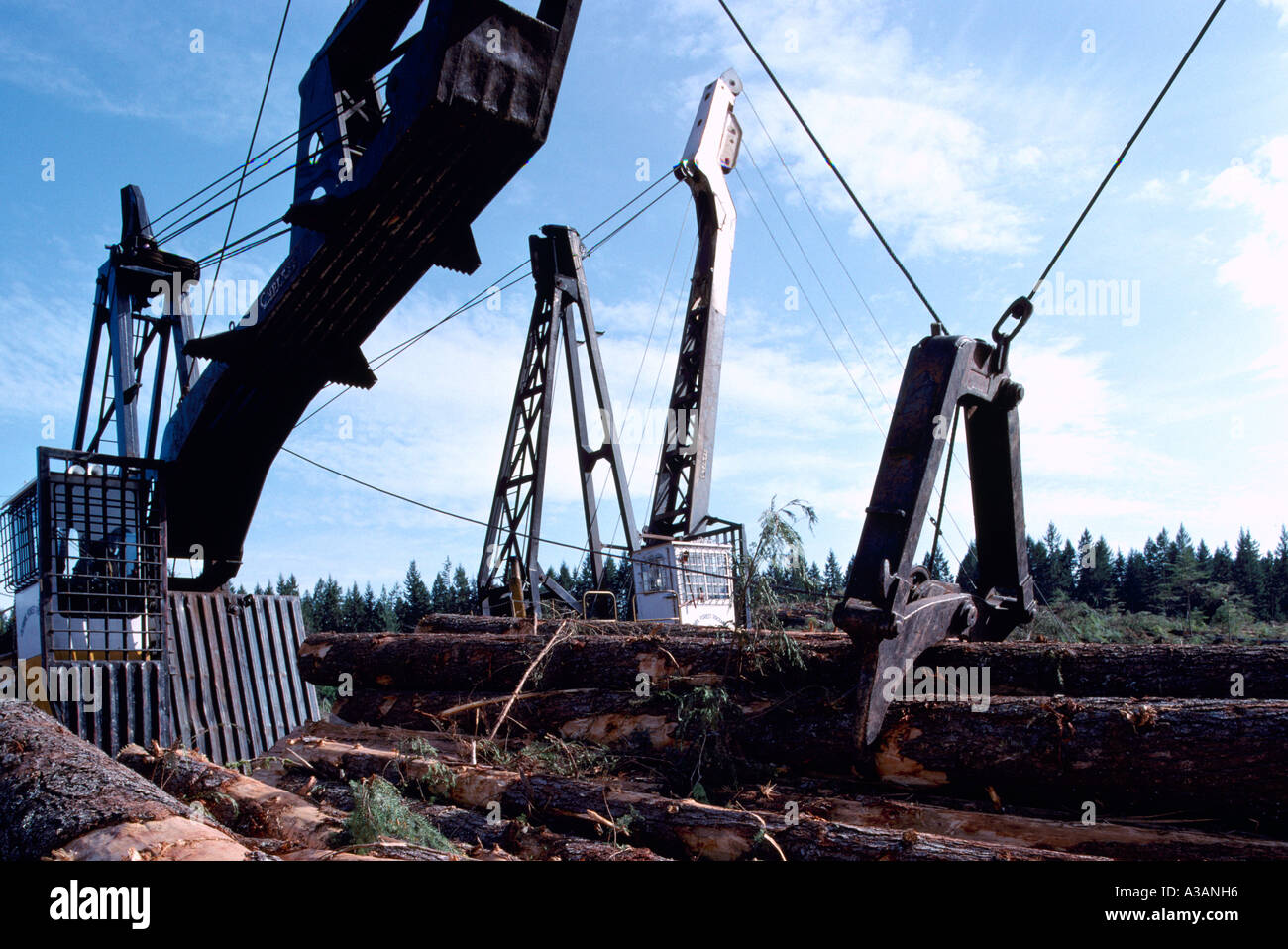 Logging Equipment with a Grapple on an Active Logging Site on Vancouver ...