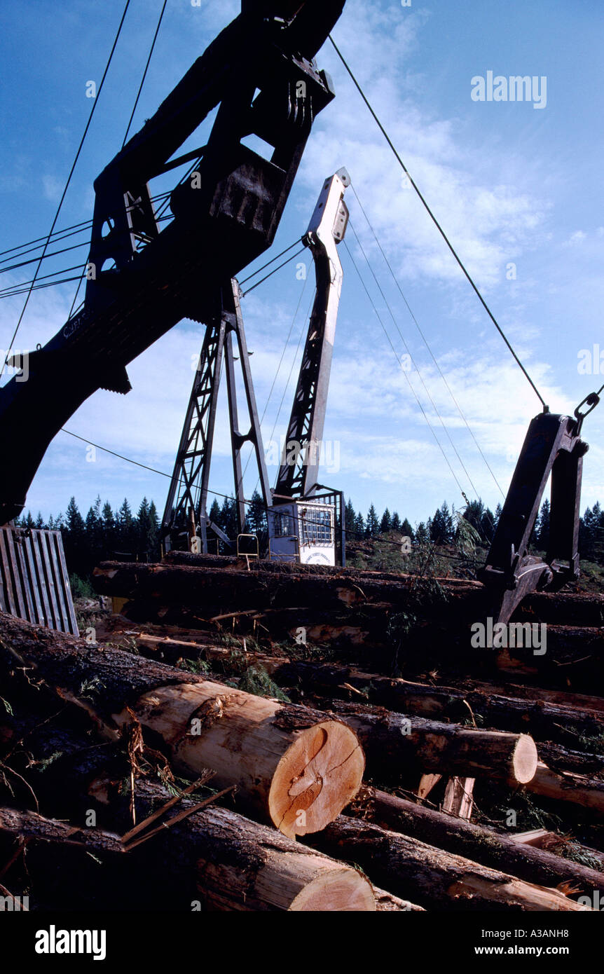 Log grapple hi-res stock photography and images - Alamy