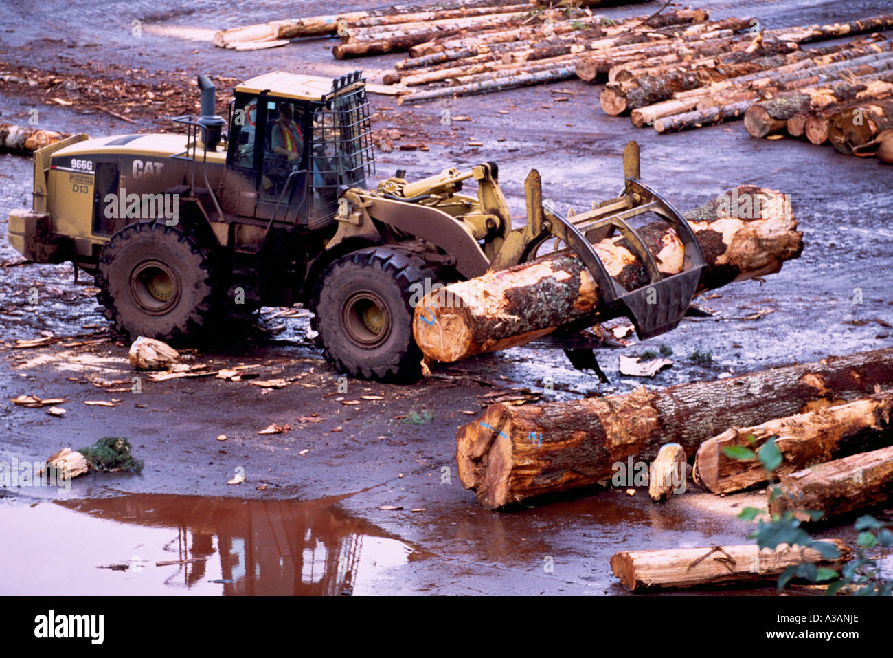 A Log Picker sorting Logs at a Log Yard at Beaver Cove on Vancouver ...