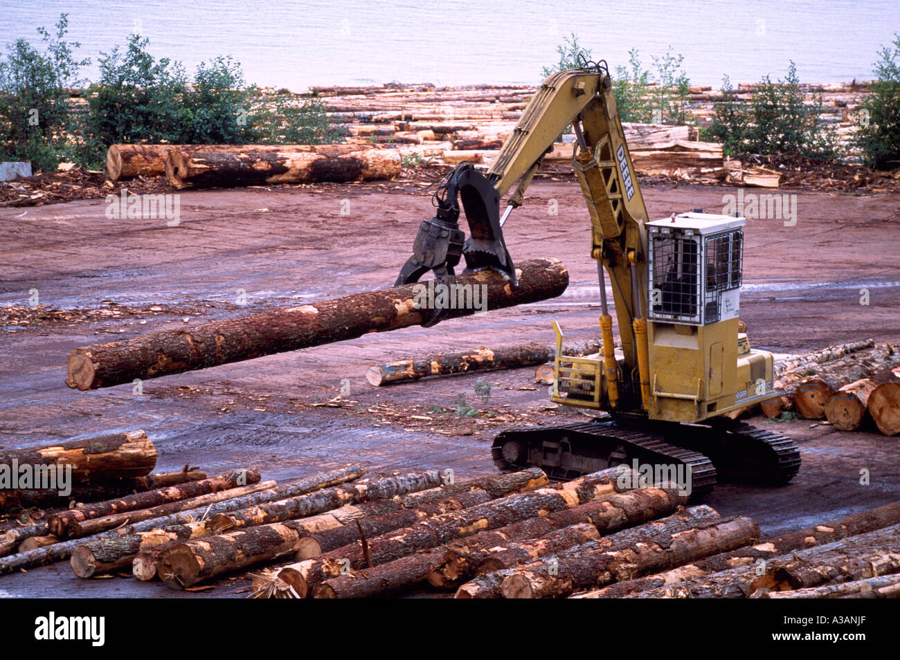 A Log Picker sorting Logs at a Log Yard at Beaver Cove on Vancouver ...