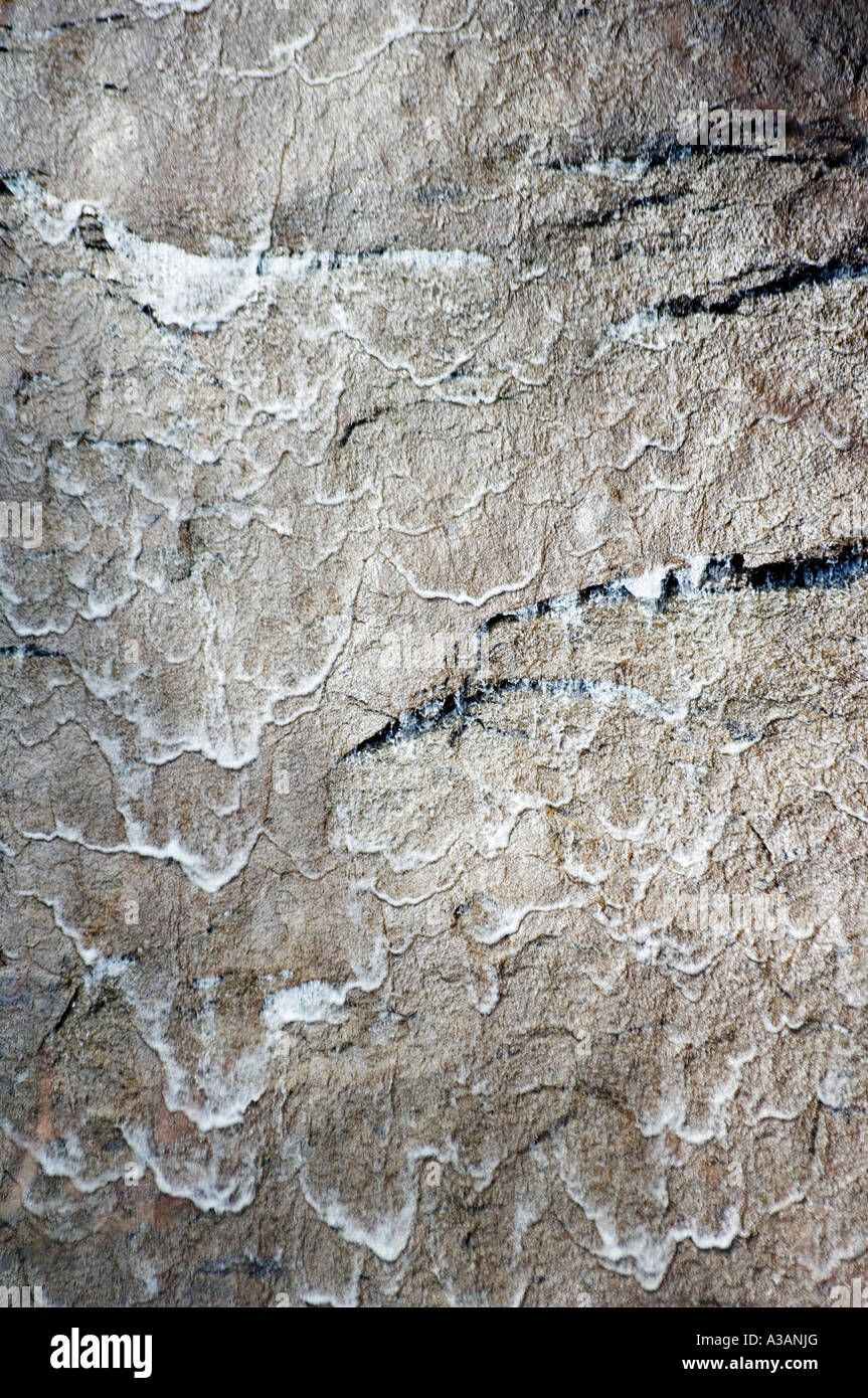 water pattern of waterfall National Park Uwajima Ehime prefecture ...