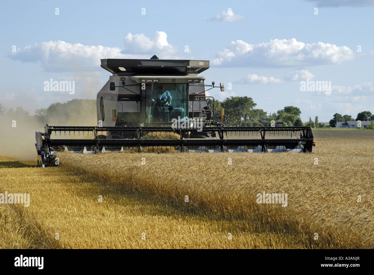Combine in oats field close hi-res stock photography and images - Alamy