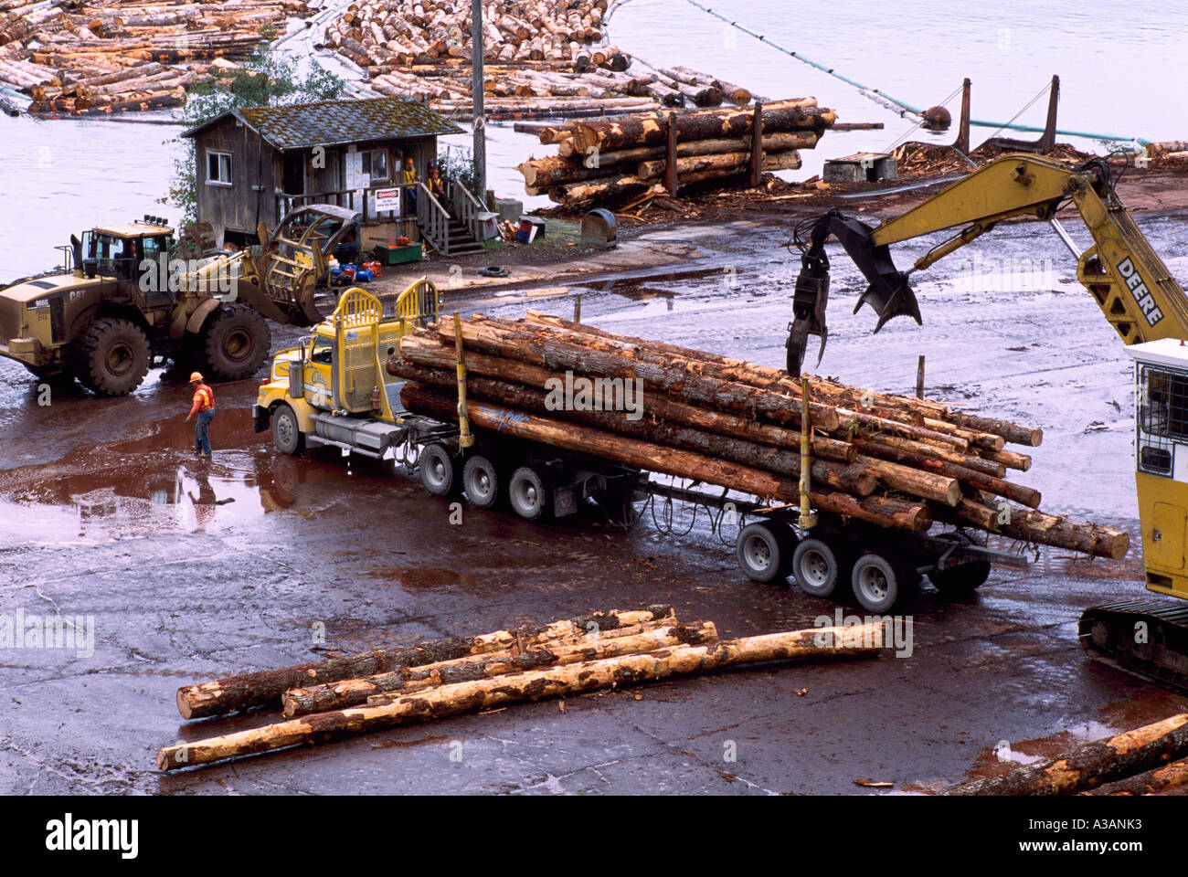 A Log Picker unloading Logs at a Log Yard at Beaver Cove on Vancouver ...