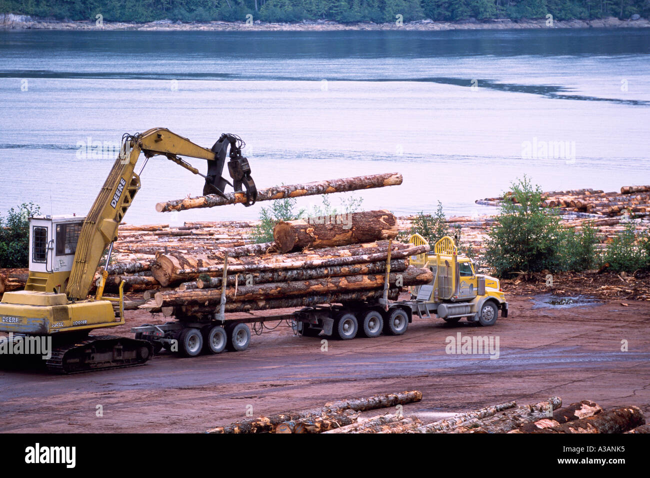 A Log Picker unloading Logs at a Log Yard at "Beaver Cove" on Vancouver ...